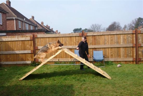 Dog Agilty A frame | Popular Woodworking