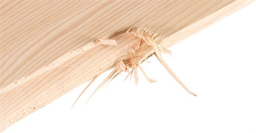 9 Tips for Beating Router Tear-Out | Popular Woodworking