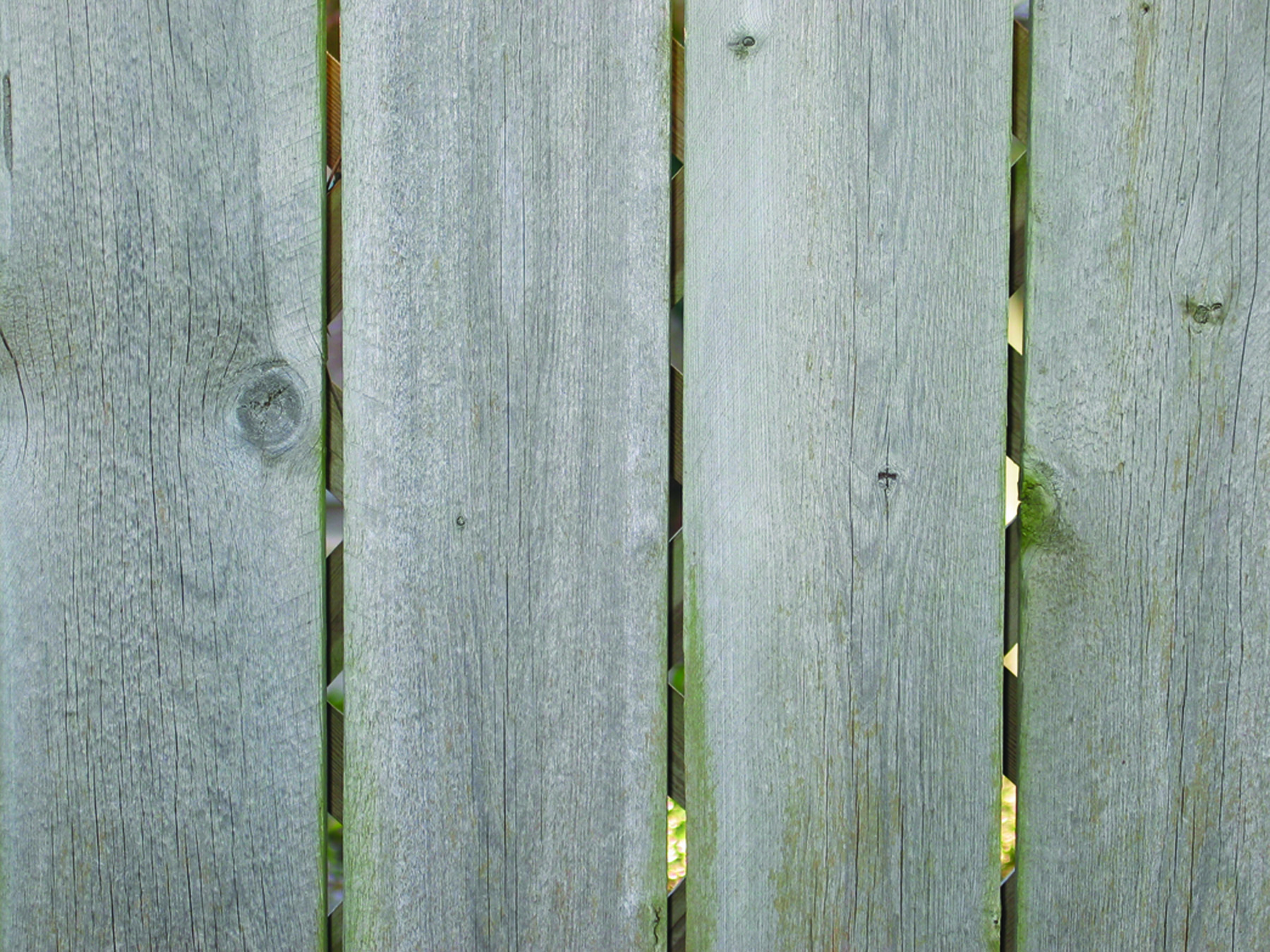 Choosing an Exterior Coating | Popular Woodworking