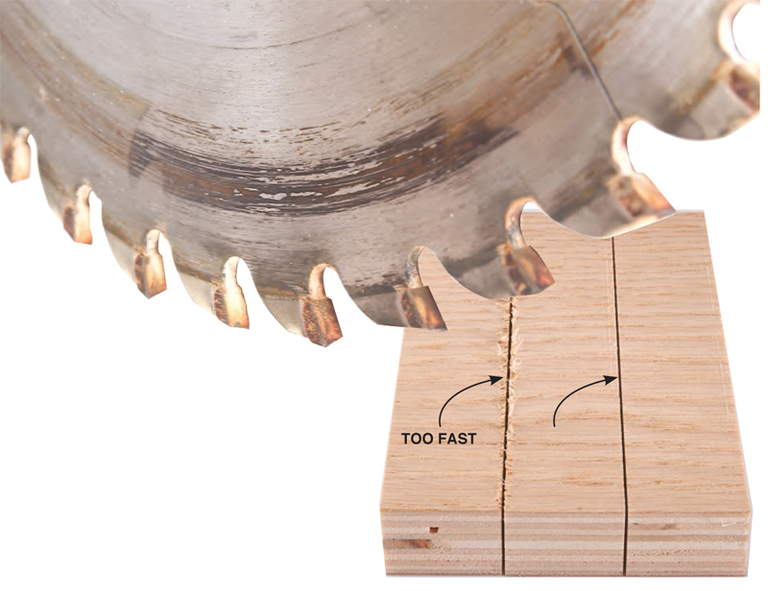 Essential Table Saw Blades | Popular Woodworking