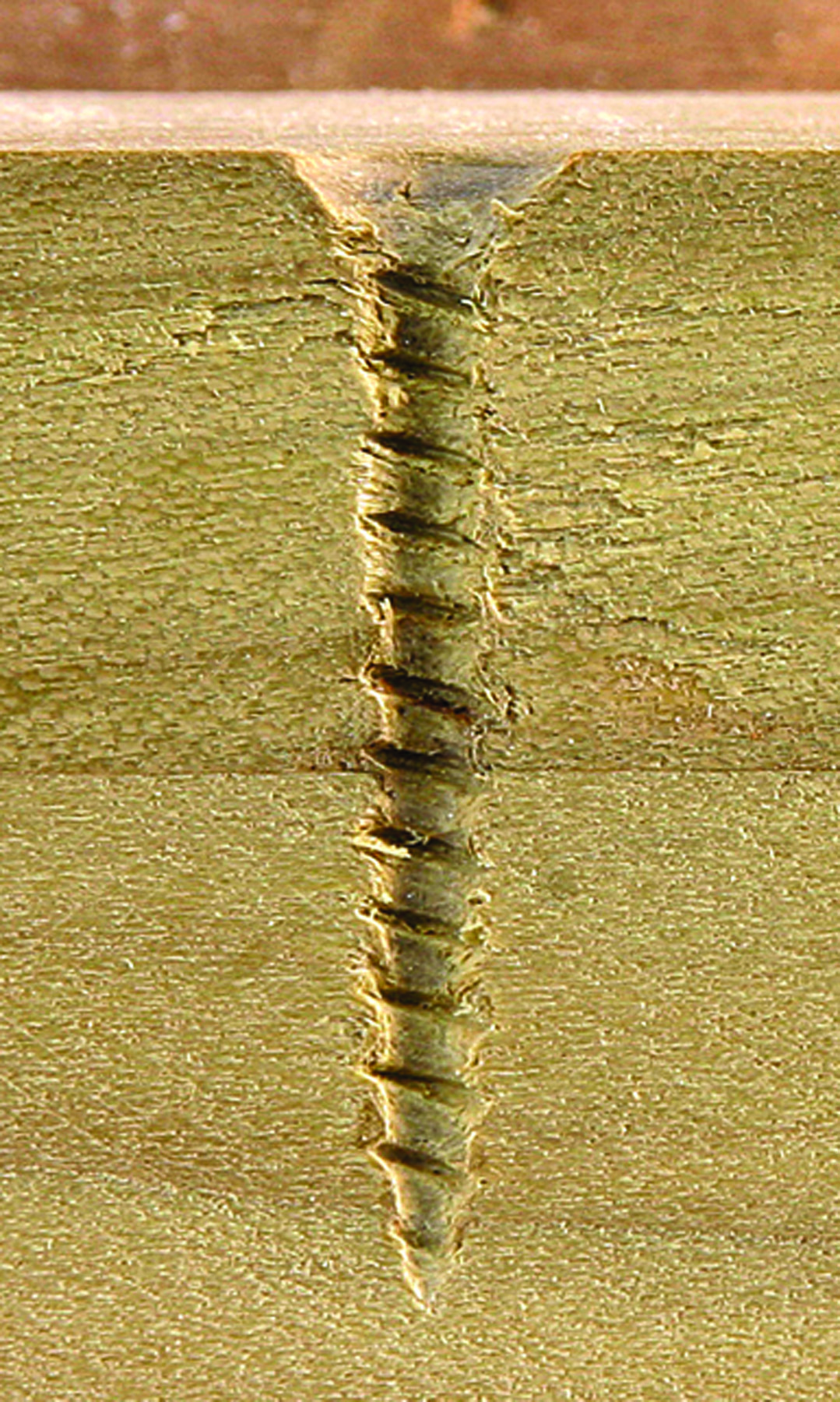 What’s The Difference Between Screws? | Popular Woodworking