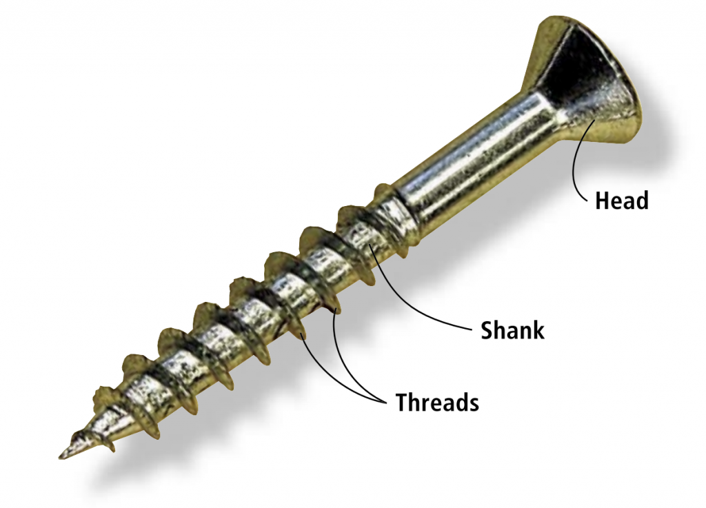 What’s The Difference Between Screws? | Popular Woodworking