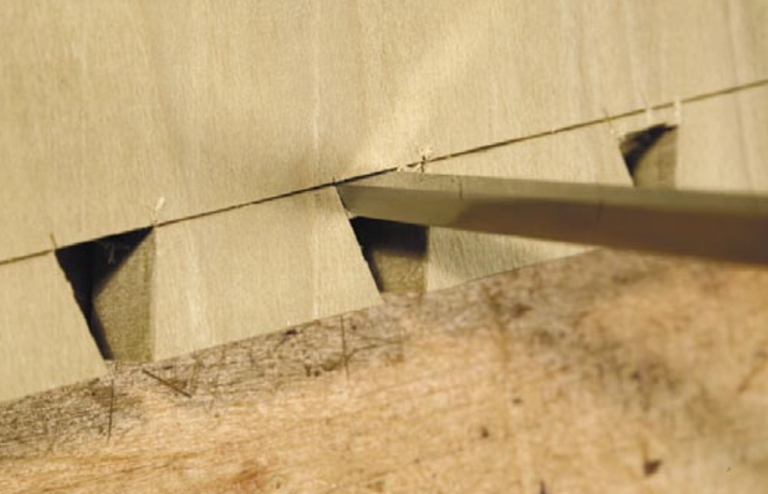 Your First Hand-cut Dovetails | Popular Woodworking Magazine