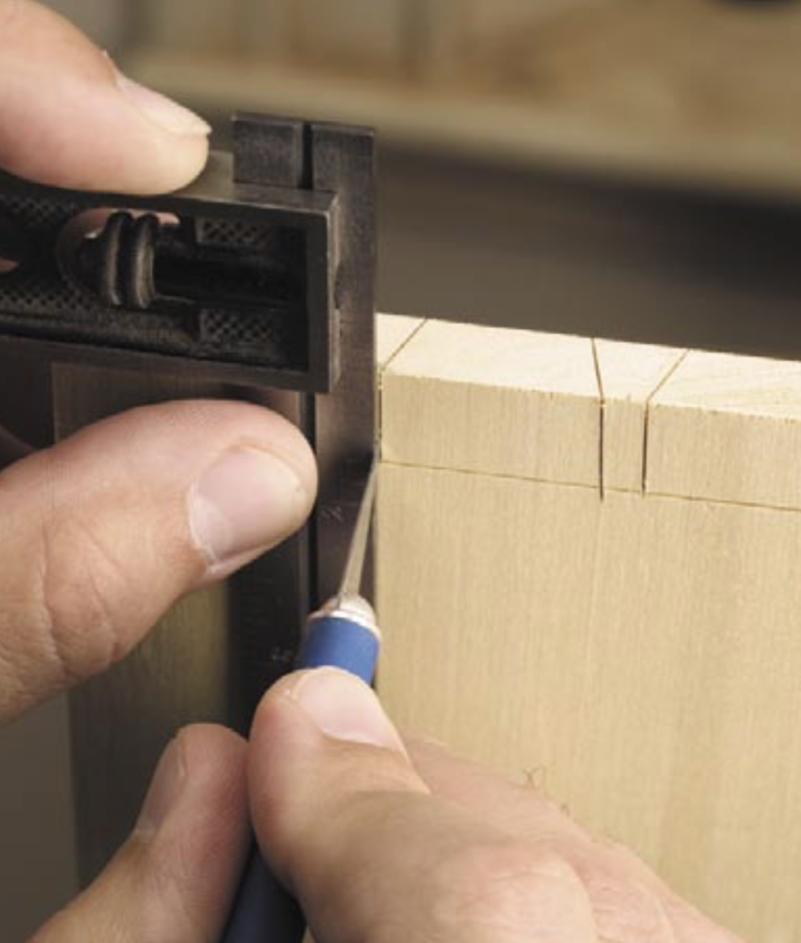 Your First Hand-cut Dovetails | Popular Woodworking Magazine