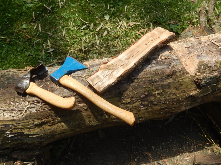 Carving a Live Edge Branch Bowl – Part 1 | Popular Woodworking