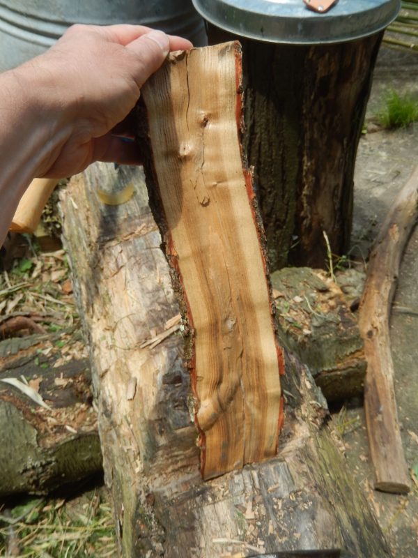 Carving a Live Edge Branch Bowl – Part 1 | Popular Woodworking