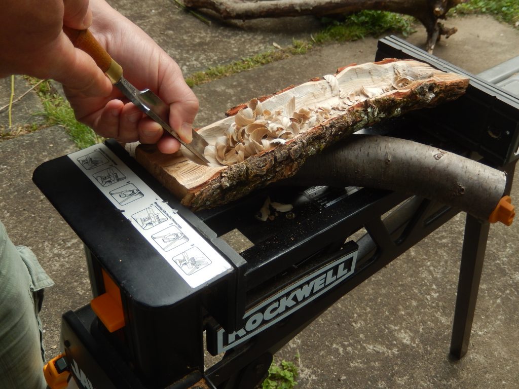 Carving a Live Edge Branch Bowl – Part 1 | Popular Woodworking