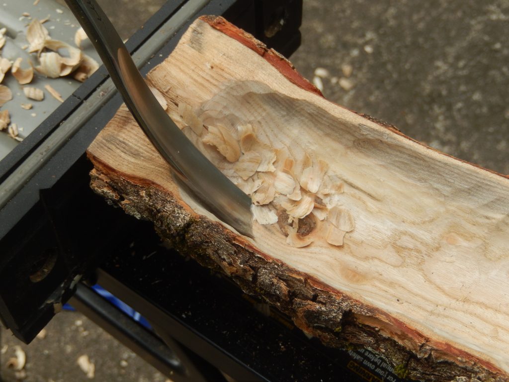 Carving a live edge bowl | Popular Woodworking