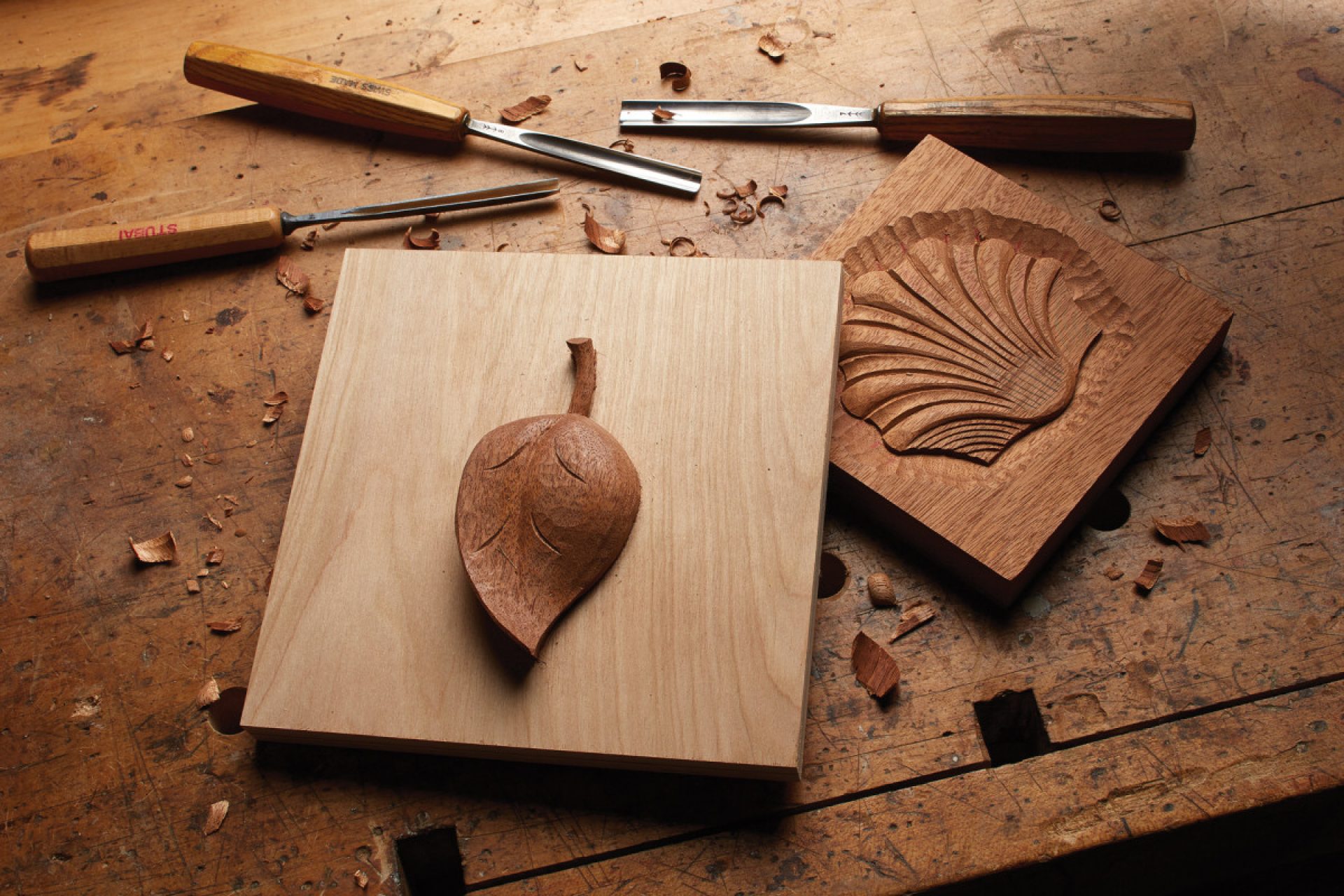 Woodcarving Basics | Popular Woodworking