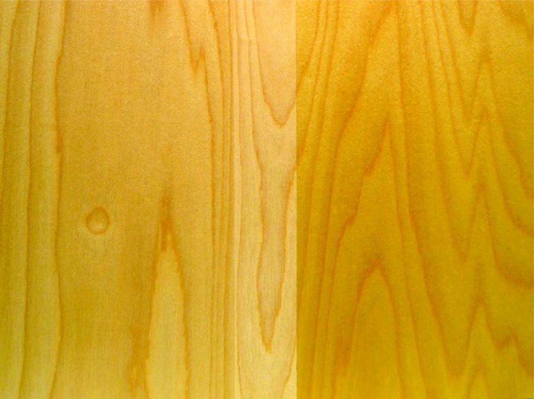 Wood Finishing Basics | Popular Woodworking