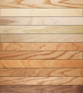 Guide to Finishing 11 Common Woods | Popular Woodworking