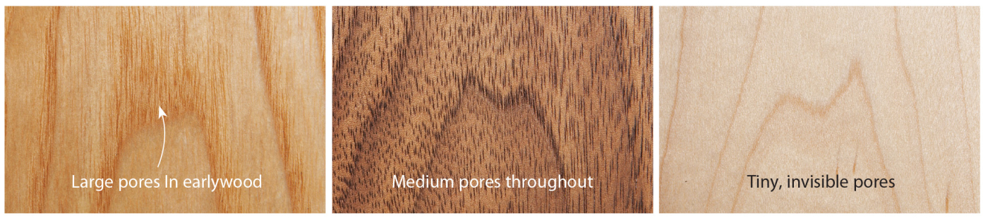 Guide to Finishing 11 Common Woods | Popular Woodworking