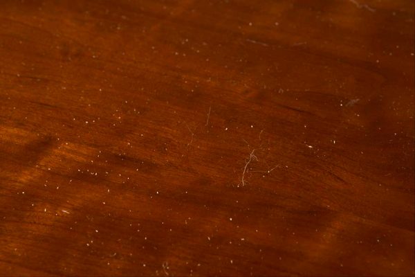 Silky-Smooth Rub-Out Finish with Varnish | Popular Woodworking