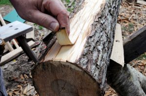 Hickory Can’t Wait | Popular Woodworking