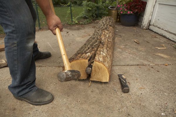How to Make a Sled from a Tree | Popular Woodworking