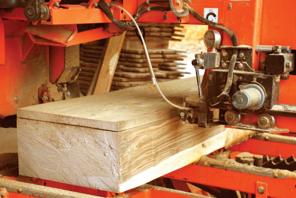 Logs to Lumber | Popular Woodworking