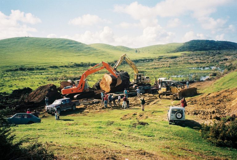 50,000-Year-Old Trees Rise Again | Popular Woodworking