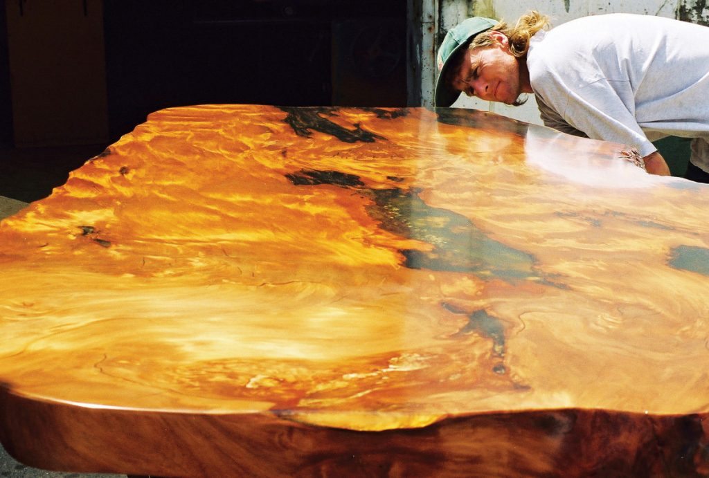 50,000-Year-Old Trees Rise Again | Popular Woodworking