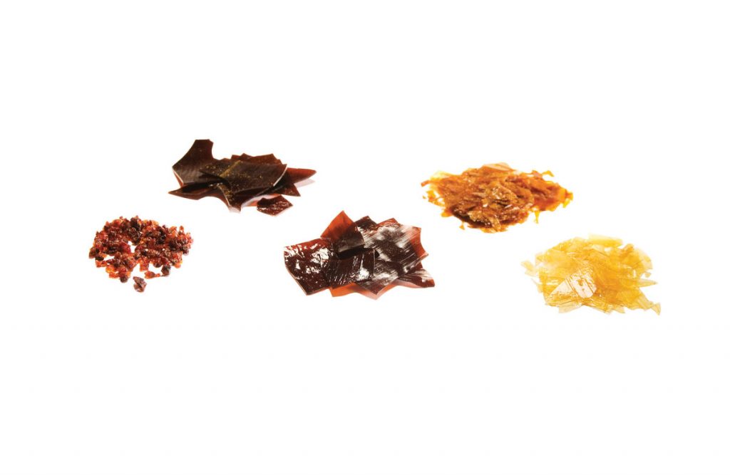 Tips For Using Shellac | Popular Woodworking