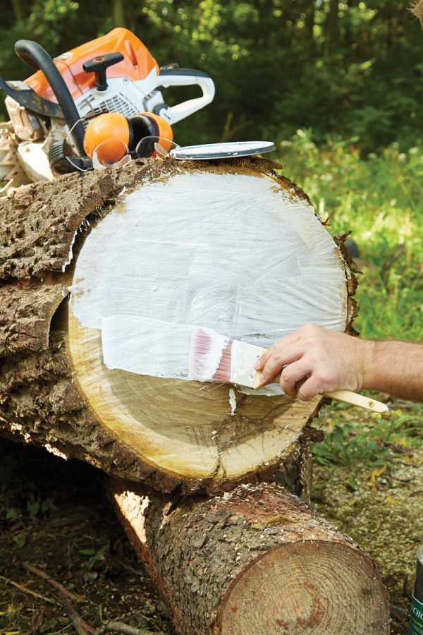 Milling Your Own Lumber | Popular Woodworking