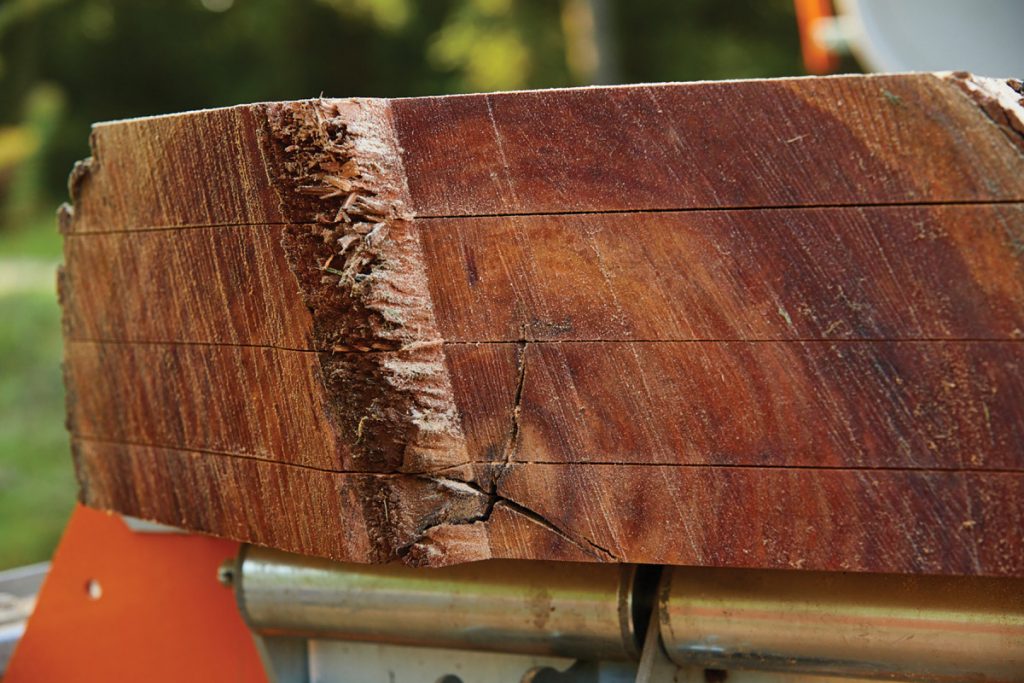 Milling Your Own Lumber | Popular Woodworking