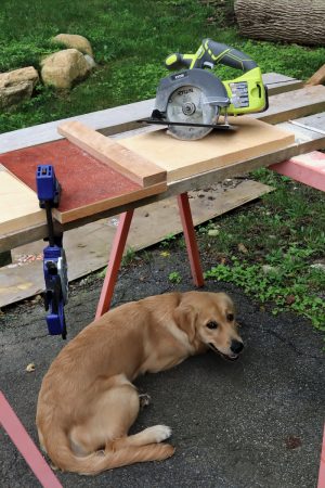 Build a Cross-Cutting Square for a Circular Saw