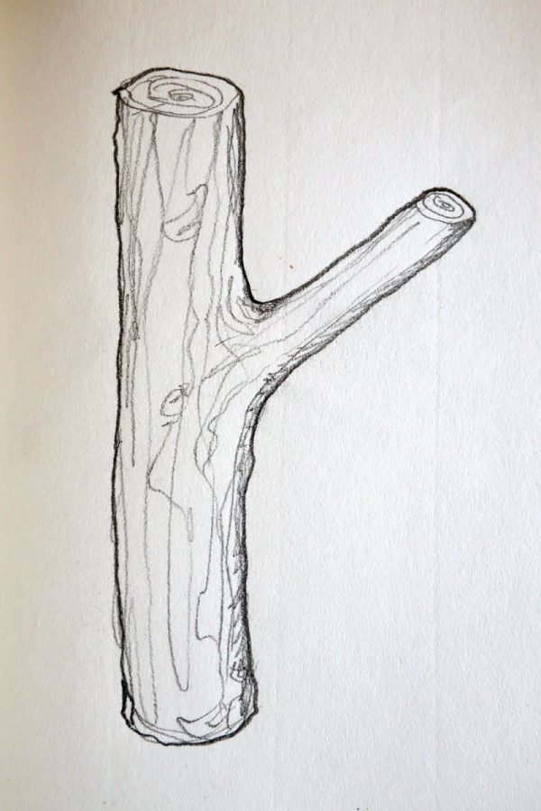 Branch-Hooks as a Gateway Into Woodworking Part 1. | Popular Woodworking