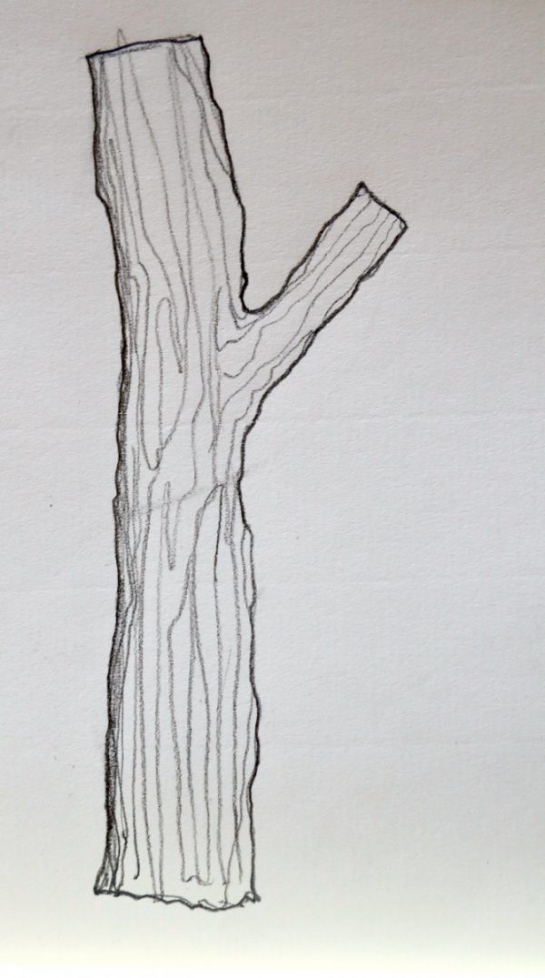 Branch-Hooks as a Gateway Into Woodworking Part 1. | Popular Woodworking