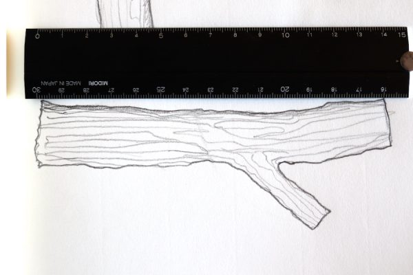 Branch-Hooks as a Gateway Into Woodworking Part 1. | Popular Woodworking