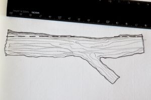 Branch-Hooks as a Gateway Into Woodworking Part 1. | Popular Woodworking