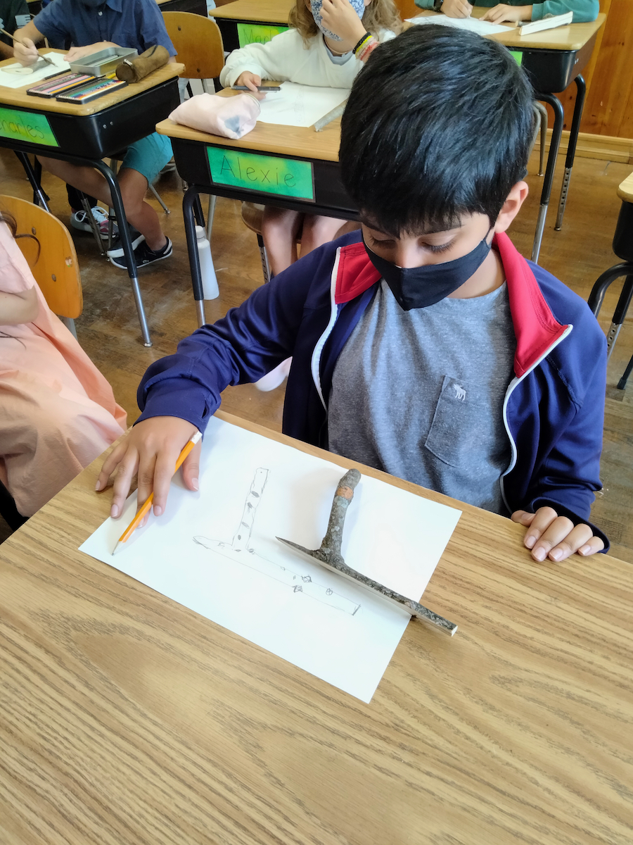 Branch-Hooks as a Gateway Into Woodworking Part 1. | Popular Woodworking