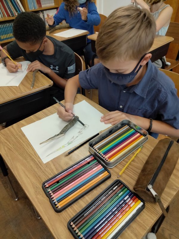 Branch-Hooks as a Gateway Into Woodworking Part 1. | Popular Woodworking