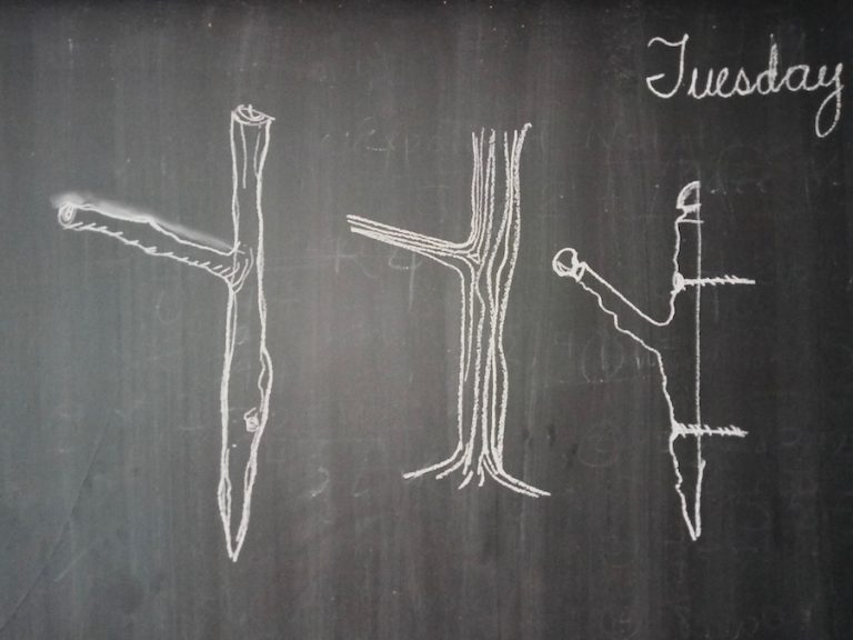 Branch-Hooks as a Gateway Into Woodworking Part 1. | Popular Woodworking