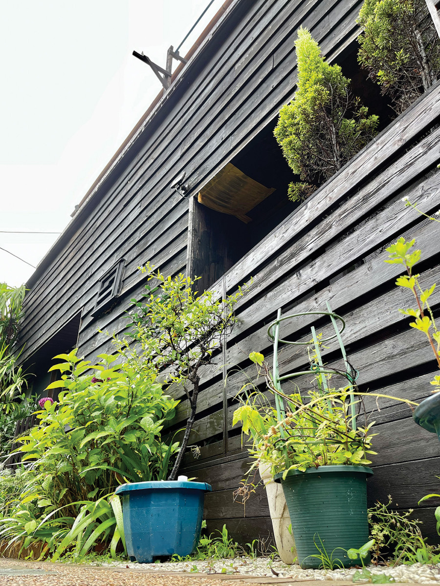 Shou Sugi Ban or Yakisugi? | Popular Woodworking