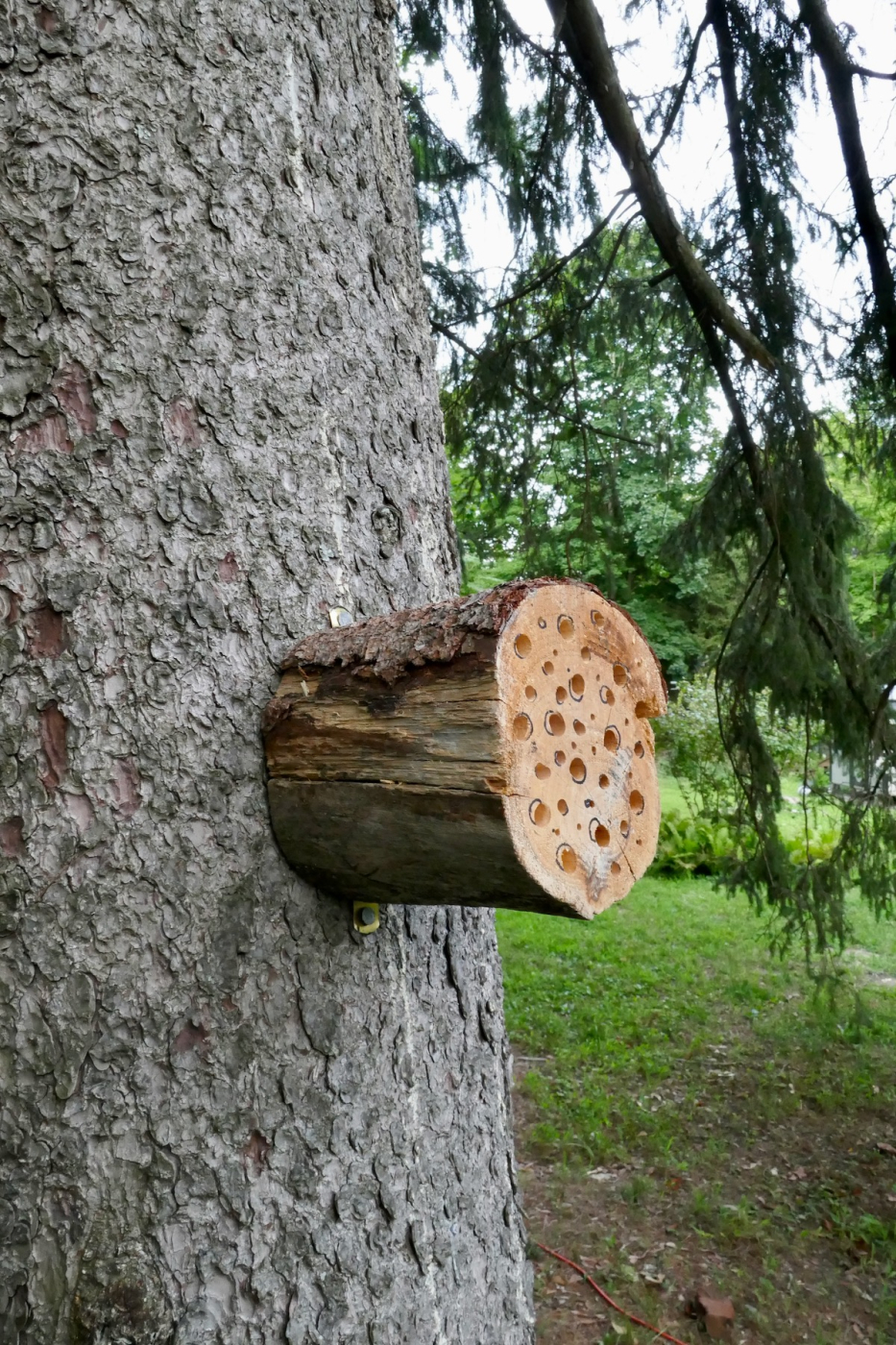 A Solitary Bee Hotel and the Joy of Just Drilling | Popular Woodworking