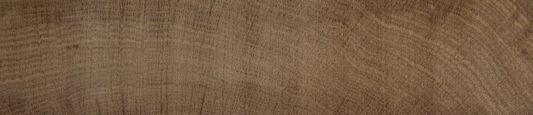 Bur Oak | Popular Woodworking