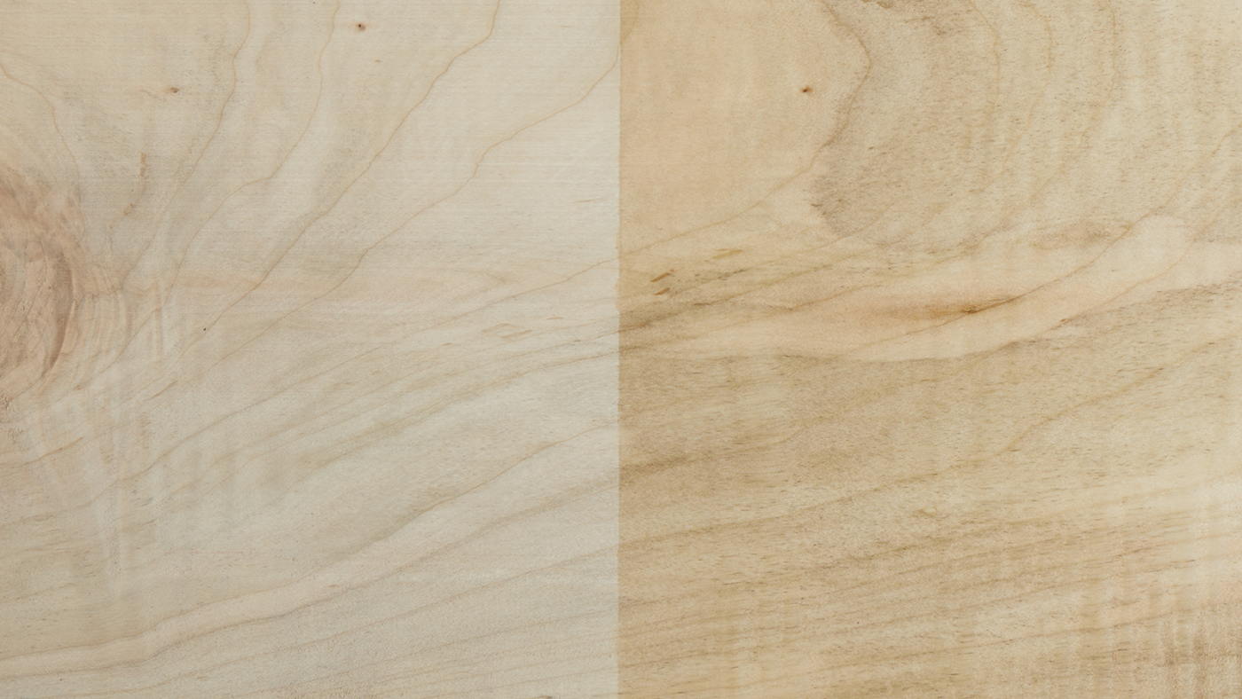 Wood Encyclopedia | Popular Woodworking