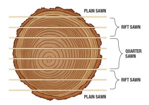 Anatomy of A Log | Popular Woodworking