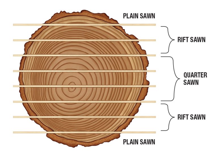 Anatomy of A Log | Popular Woodworking