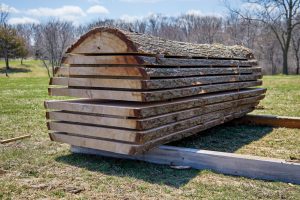 Milling Lumber with a Chainsaw Mill | Popular Woodworking