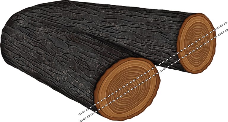 Anatomy of A Log | Popular Woodworking