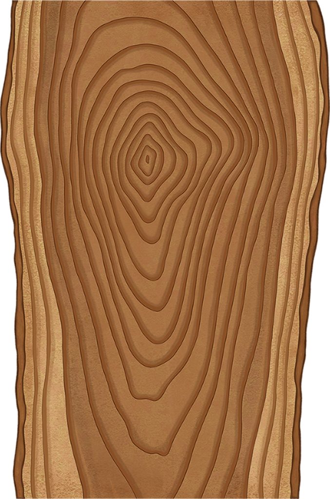 Anatomy of A Log | Popular Woodworking