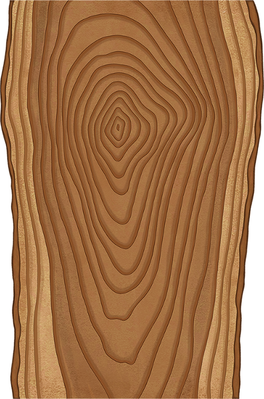 Anatomy of A Log | Popular Woodworking