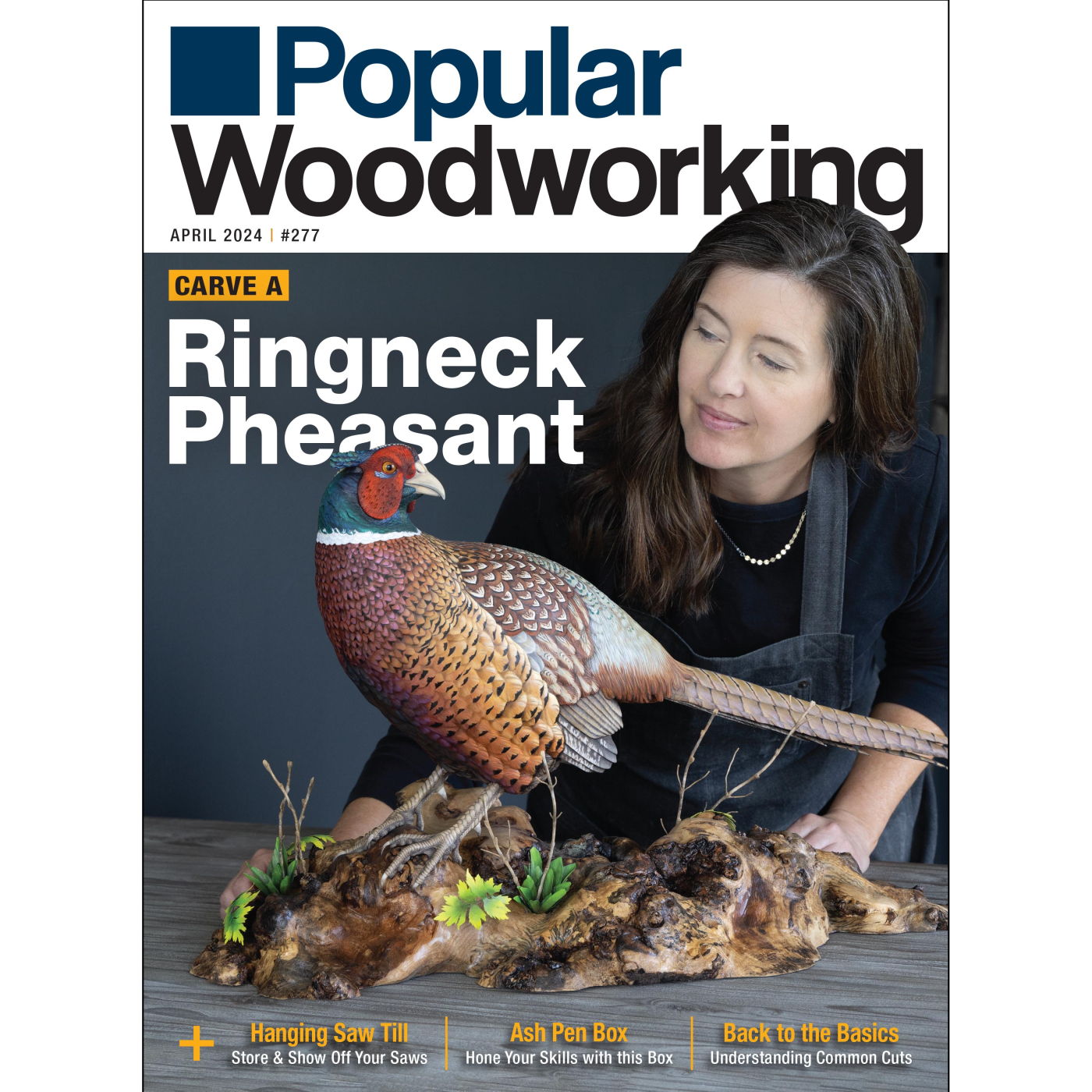 Chris Schwarz Blog | Popular Woodworking