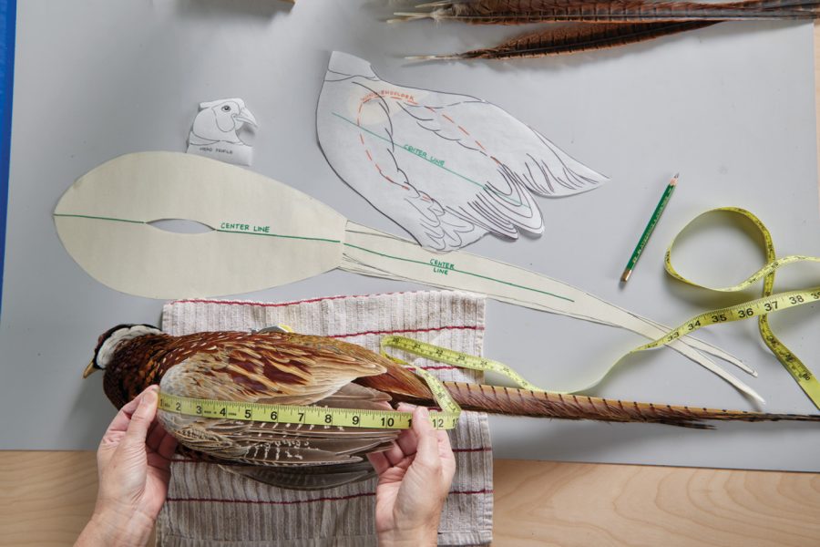 Carve a Ringneck Pheasant | Popular Woodworking