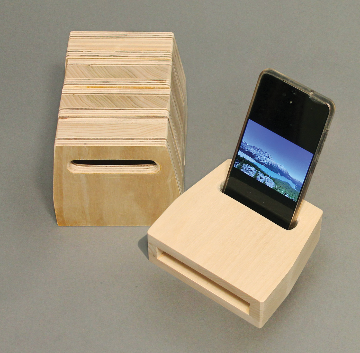 I Can Do That! – Simple Woodworking Projects | Popular Woodworking