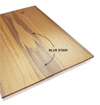 Q & A: Is Blue-Stained Pine OK? | Popular Woodworking