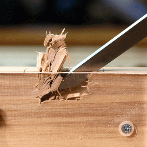 The Best Mortise and Tenon Tools for Your Project | Popular Woodworking