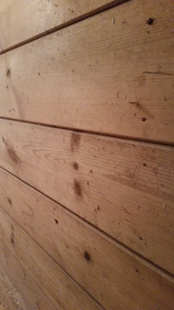 Passage Through Time (Surveying a Vintage Building in England ...