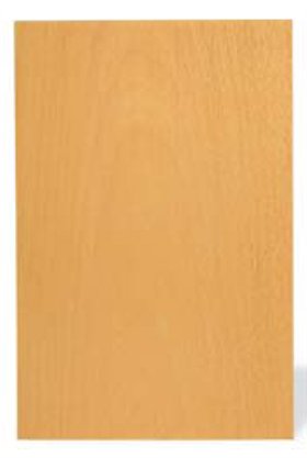 The Way Wood Works: Birch | Popular Woodworking